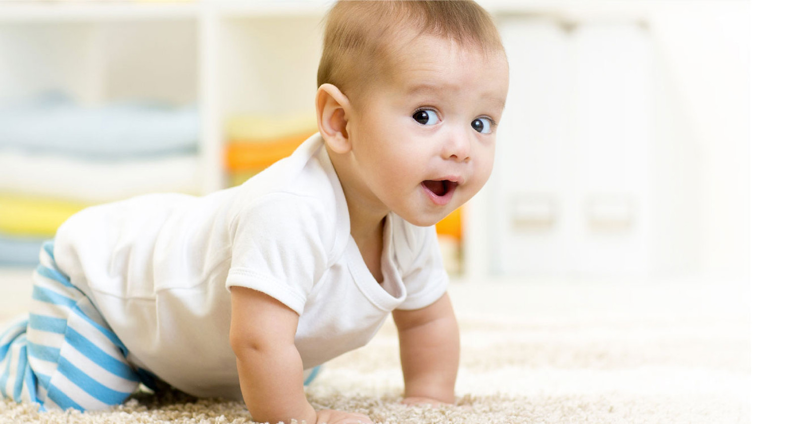 Home | Your Baby Can Learn