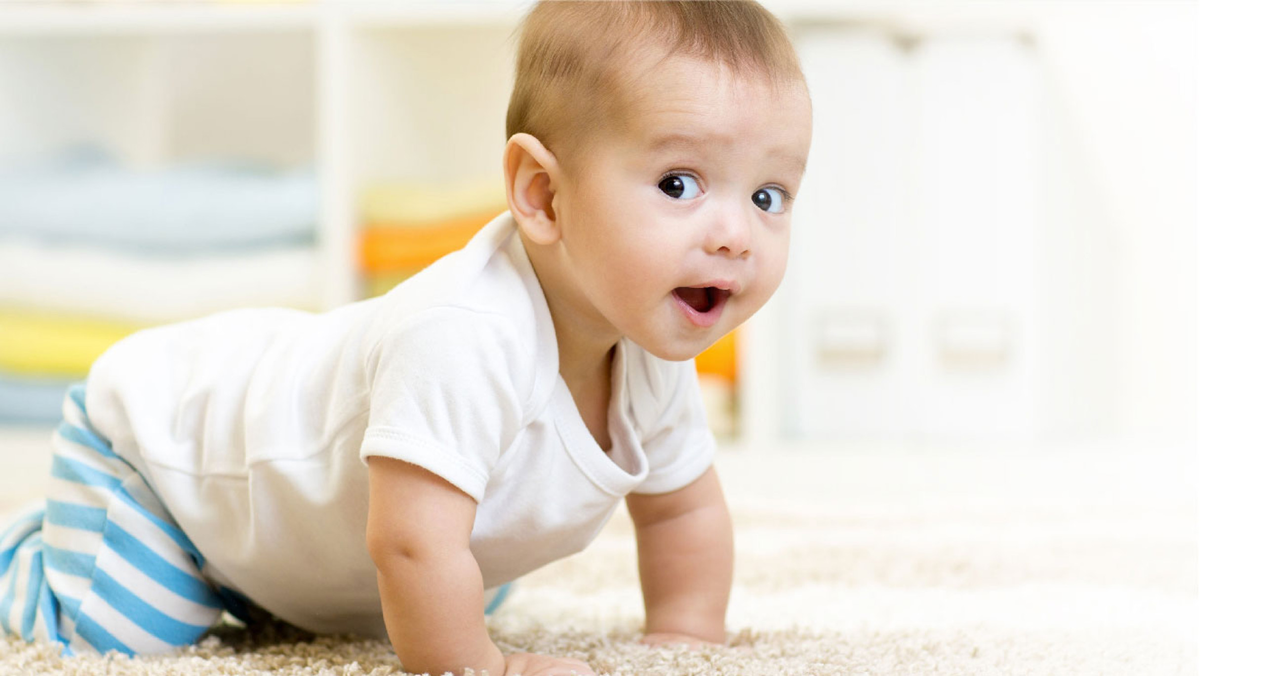 Your Baby Can Learn! - English and Spanish - Volumes 1-5 | Shop | Your ... Your Baby Can Learn! - English and Spanish - Volumes 1-5 | Shop | Your ...