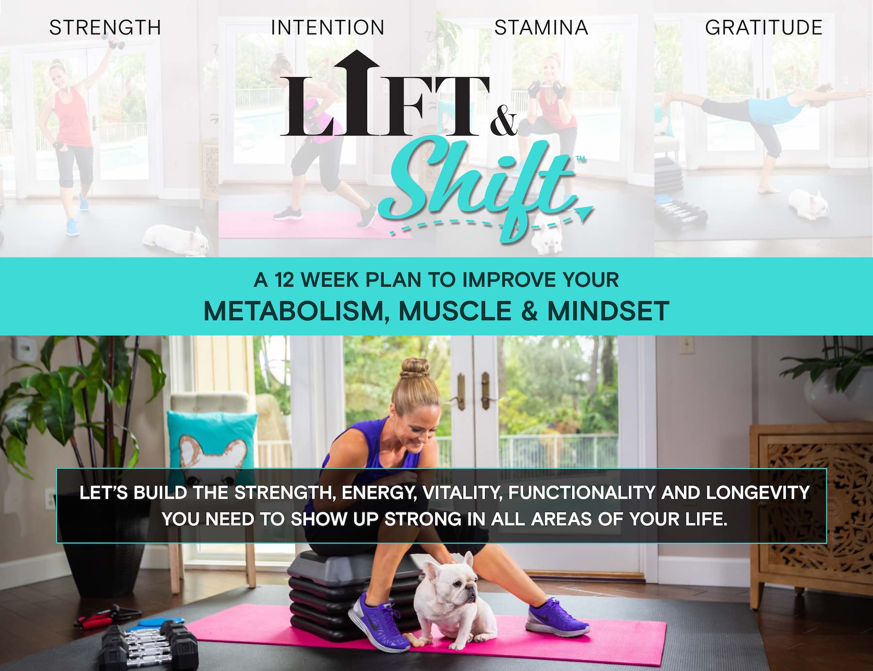 Home | Lift and Shift