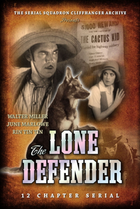 THE LONE DEFENDER | Shop | serialsquadron