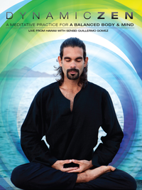 DYNAMIC ZEN Qigong Exercises | Shop | Digital Martial Fusion