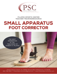 Foot and Toe Corrector Pedipull Sandbag and 2x4 Workshop | Shop ...